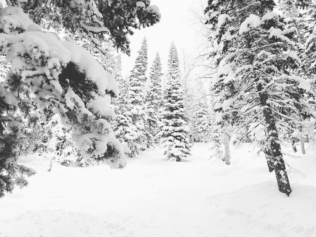 Presidents Day Weekend Activities In Aspen presidents-day-weekend-activities-in-aspen
